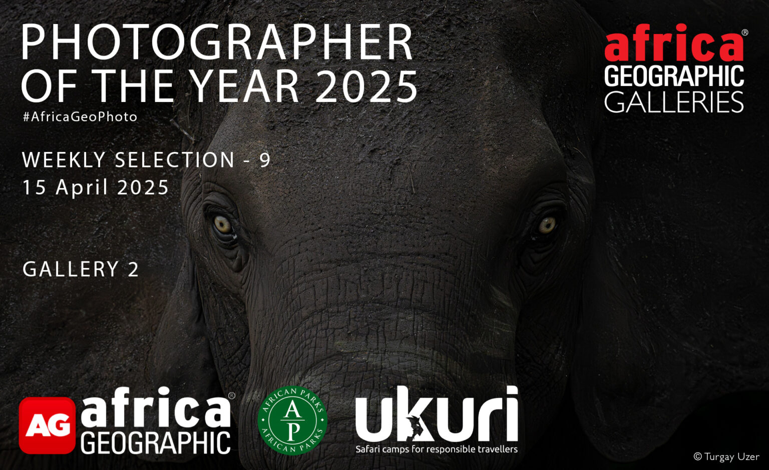 Photographer of the Year 2025 Weekly Selection: Week 9 - Gallery 2 ...