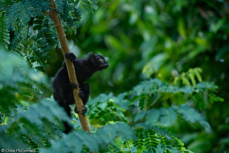 Photographer of the Year 2025 Weekly Selection: Week 13 - Africa Geographic
