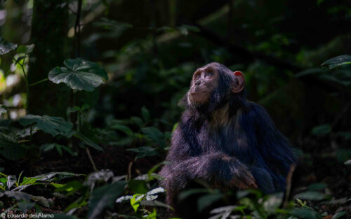 Photographer of the Year 2025: Top 109 - Gallery 1 - Africa Geographic