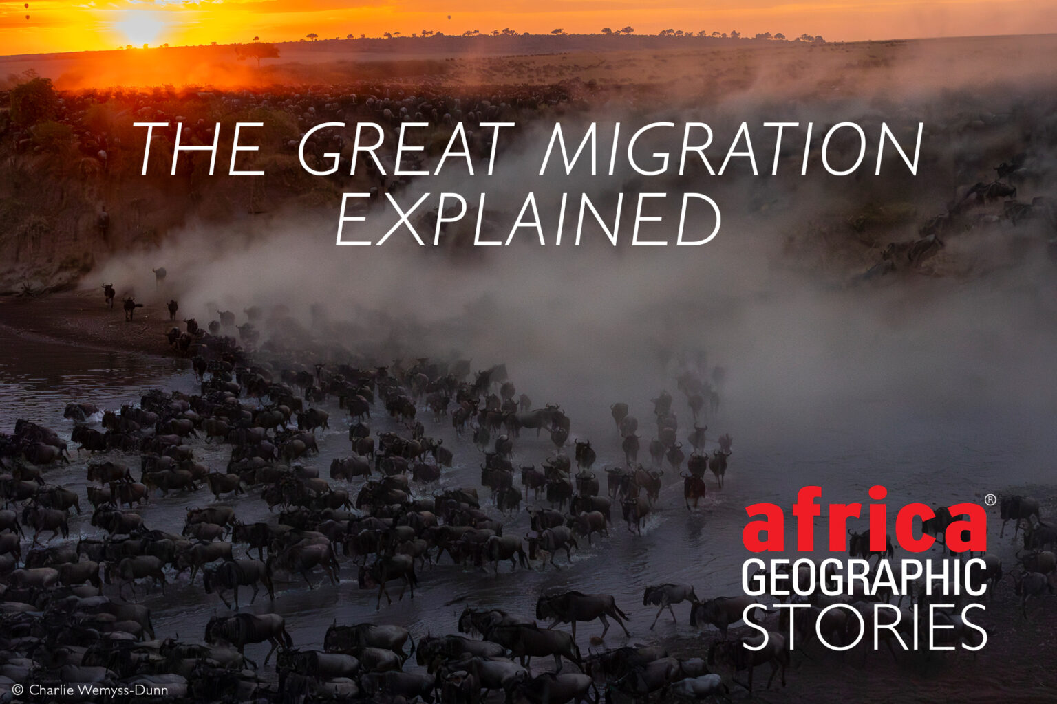 Experience the Great Wildebeest Migration