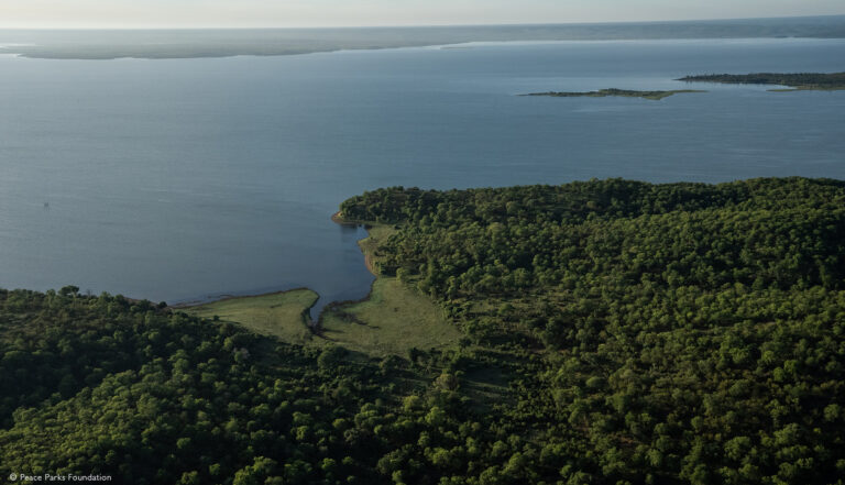 Explore Limpopo National Park with us