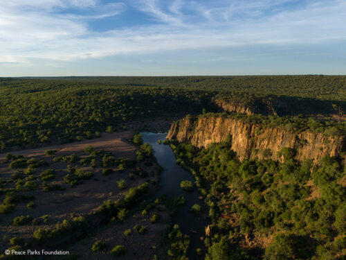 Limpopo National Park - Africa Geographic