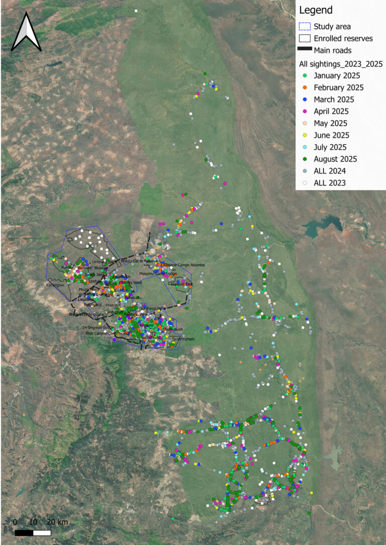 Spots on the line - saving Hoedspruit’s leopards - Africa Geographic
