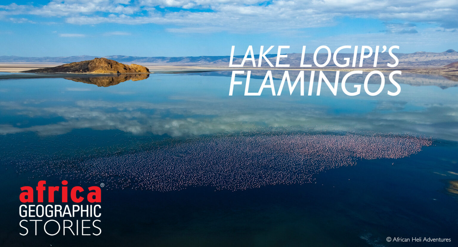 Nearly a million flamingos found in Kenya’s Lake Logipi - Africa Geographic