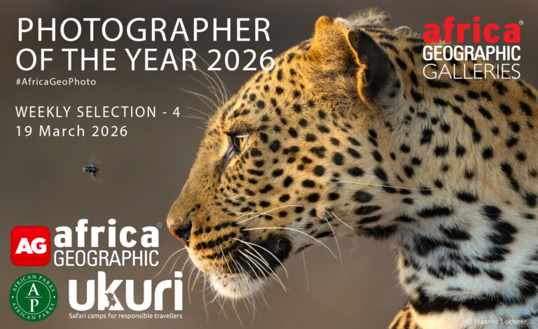 Photographer of the Year 2026 Weekly Selection: Week 4 - Africa Geographic